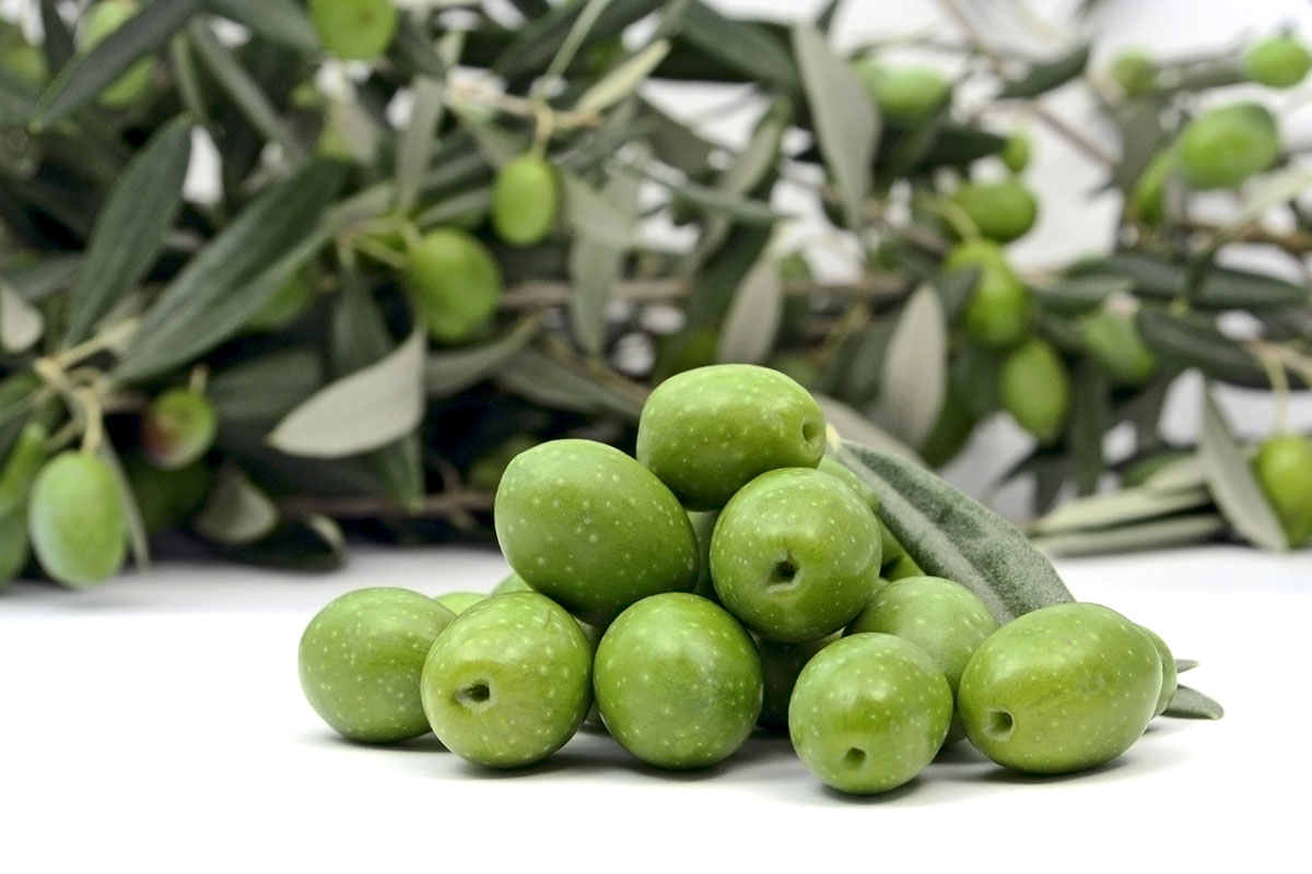 BOOK YOUR PARTICIPATION - Table Olives London ITOC